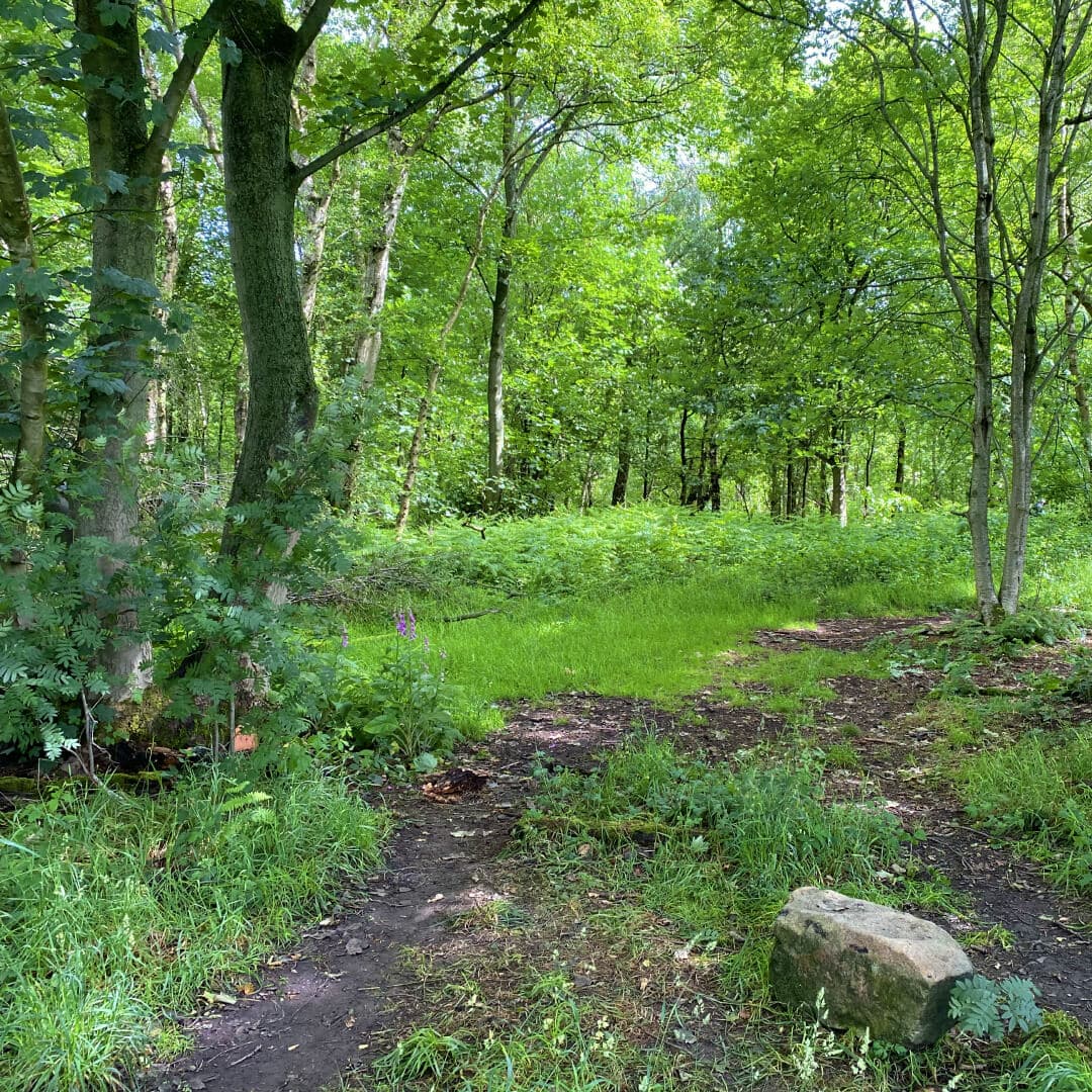 Breary Marsh | Discover Leeds