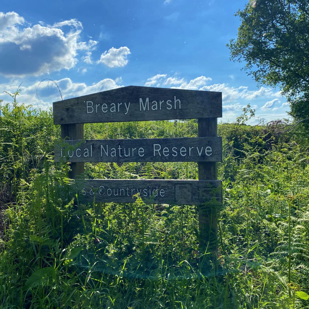 Breary Marsh | Discover Leeds