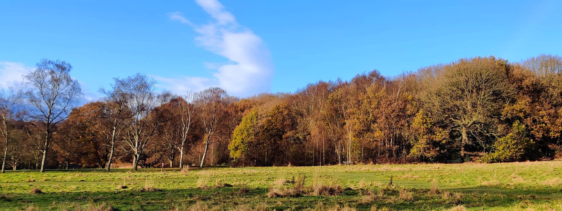 Meanwood Park | Discover Leeds