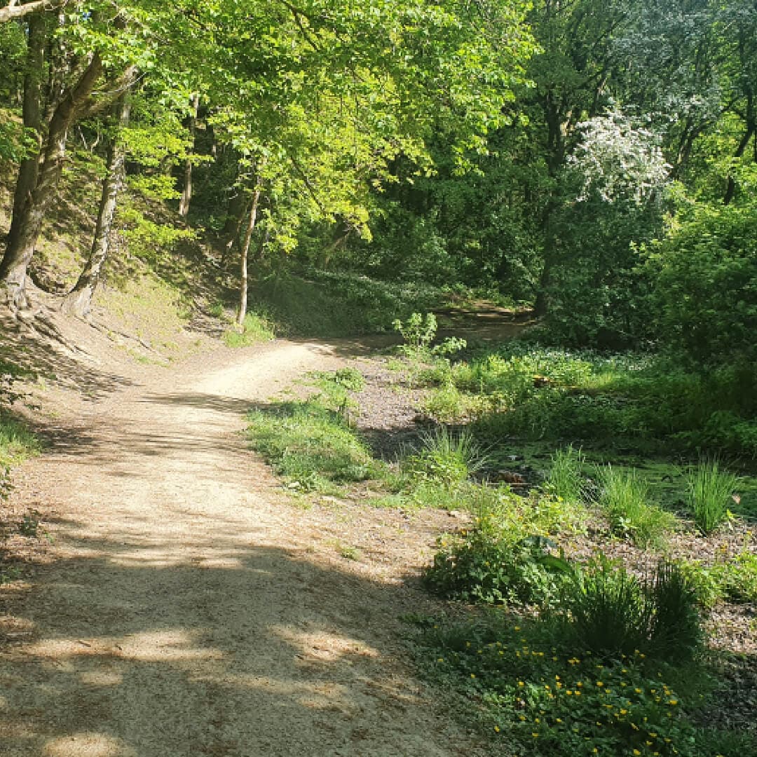 Post Hill | Discover Leeds