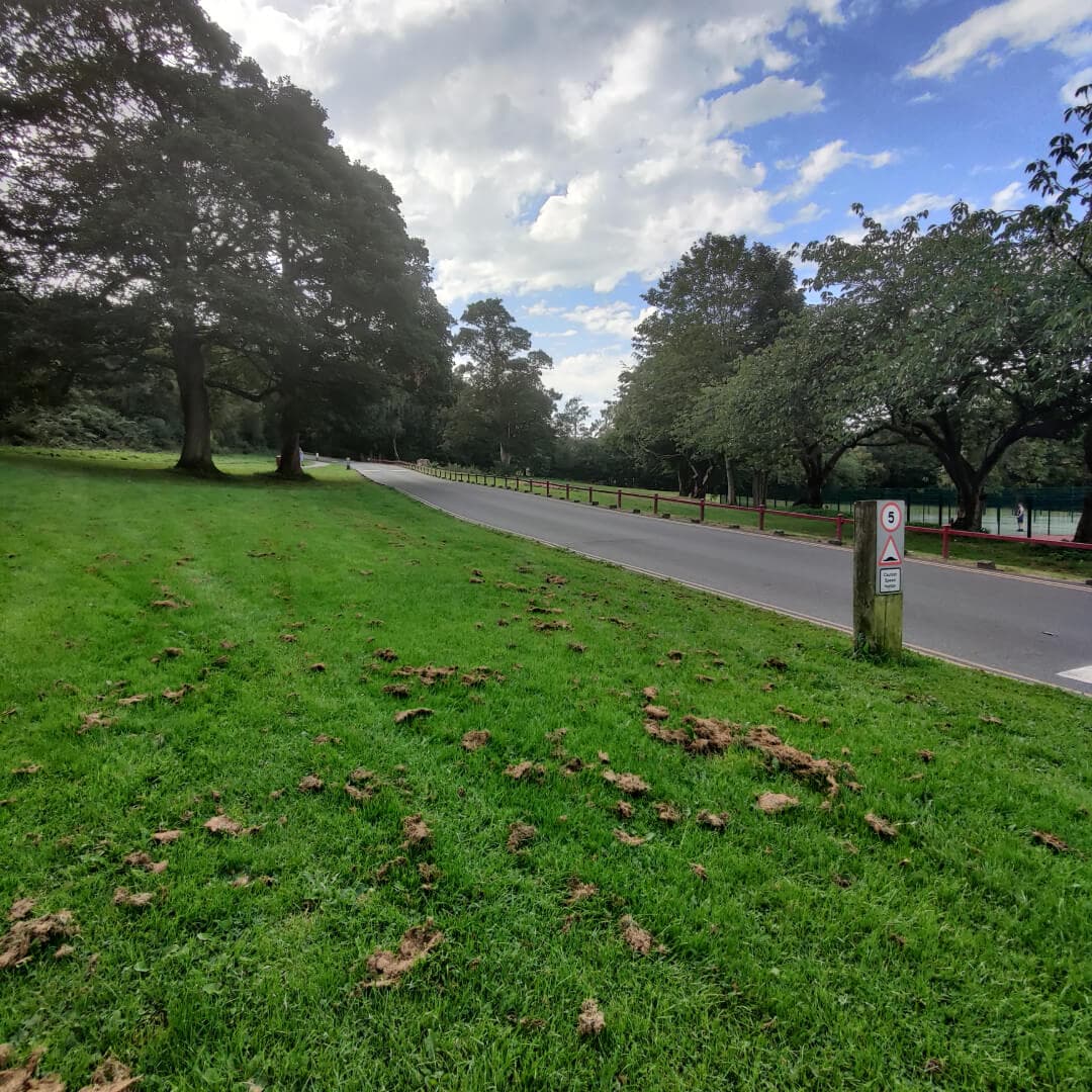 Middleton Park | Discover Leeds