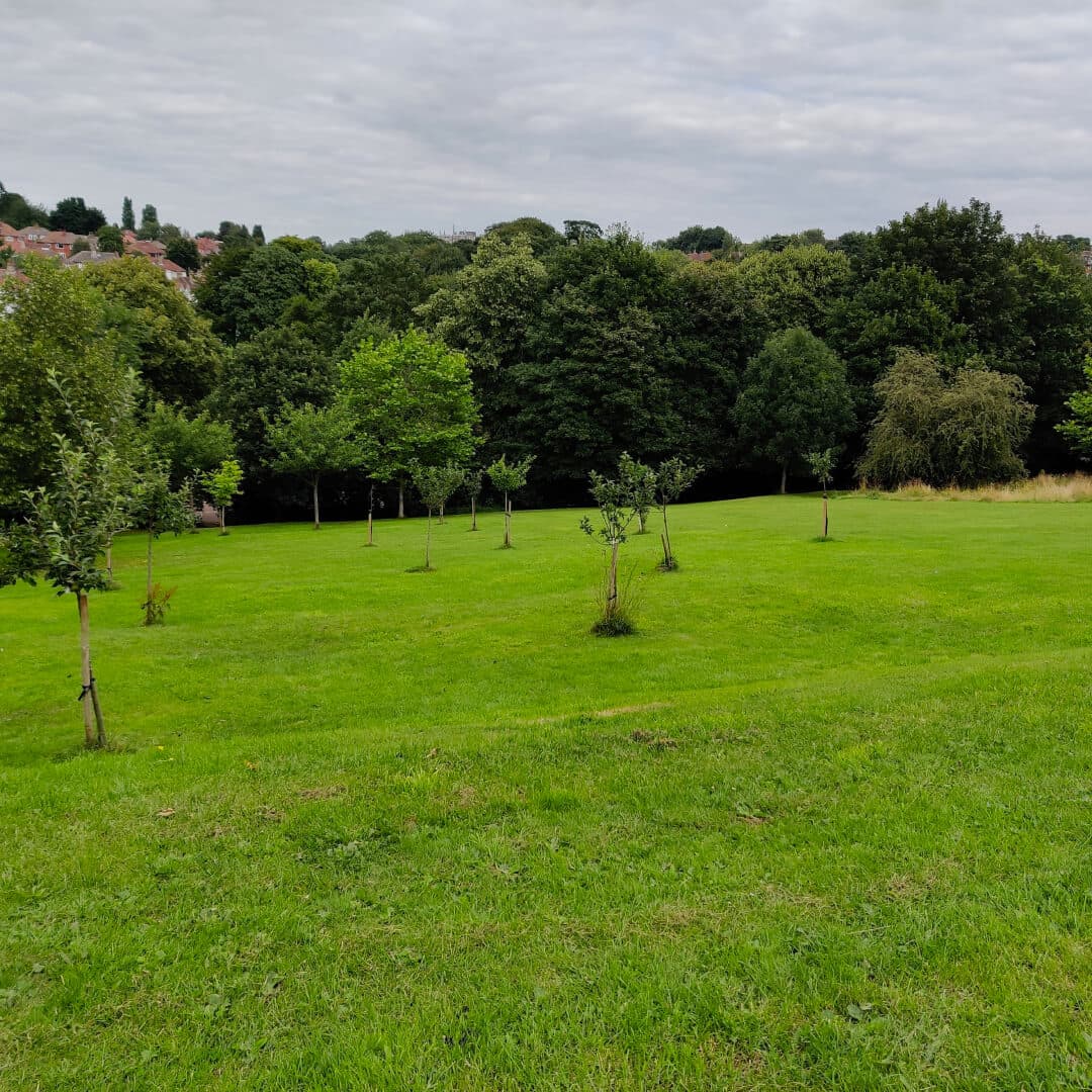 Chapel Allerton Park | Discover Leeds