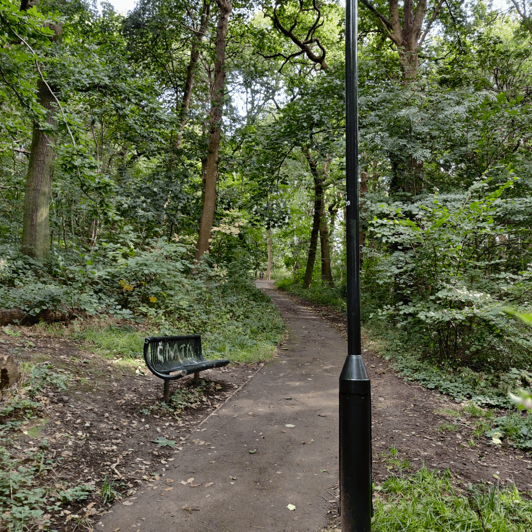 Gipton Wood | Discover Leeds