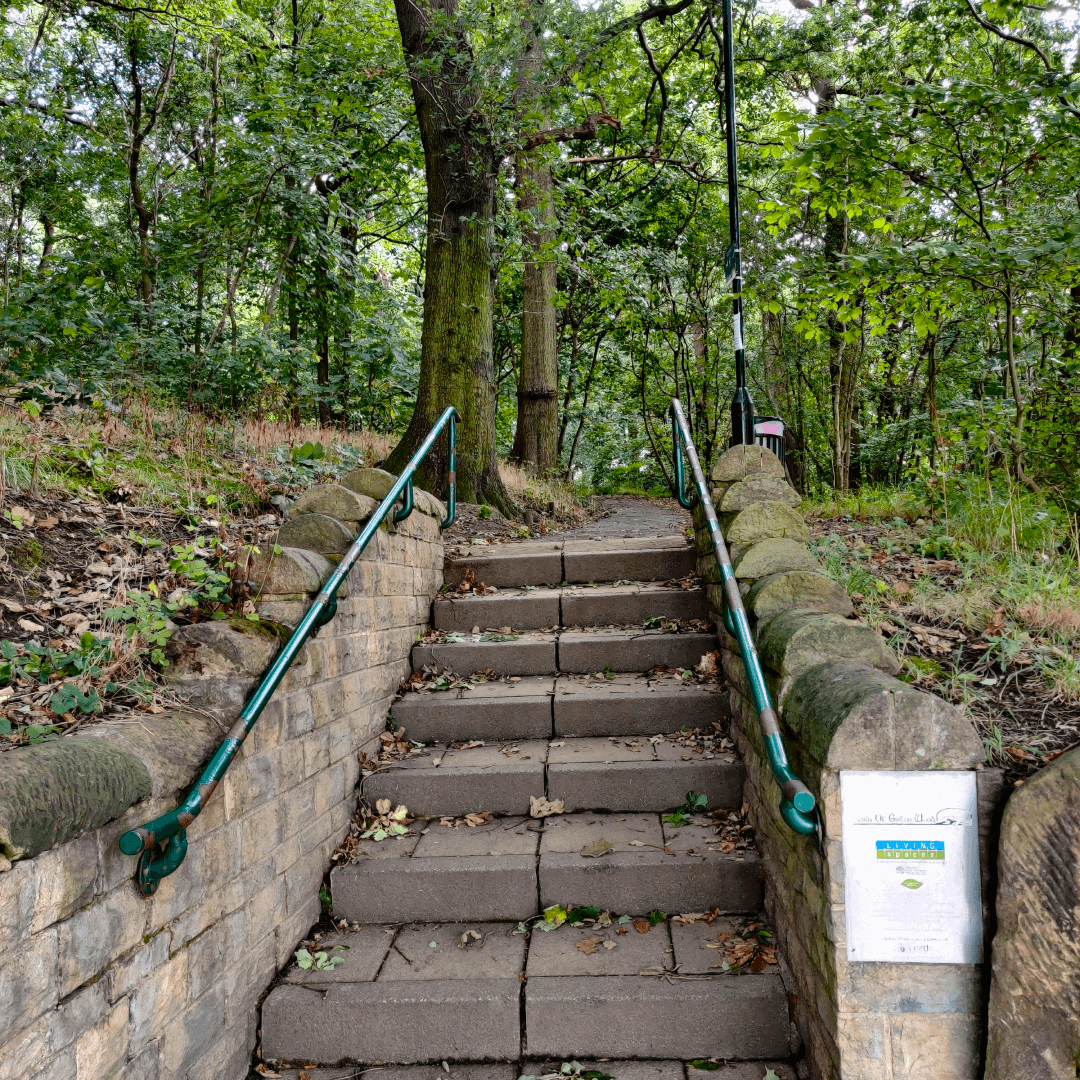 Gipton Wood | Discover Leeds