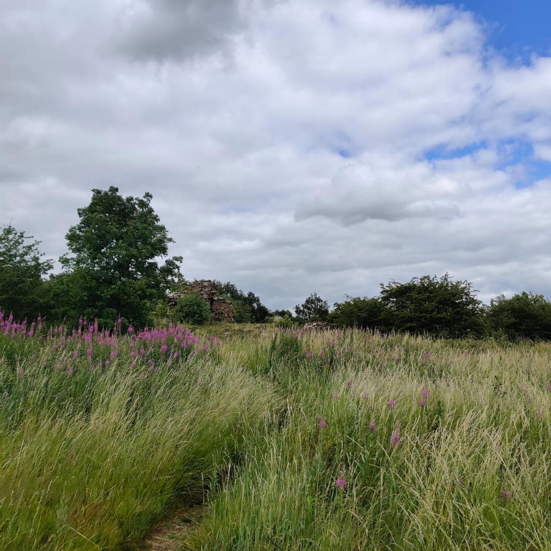 Howley Hall Ruins | Discover Leeds