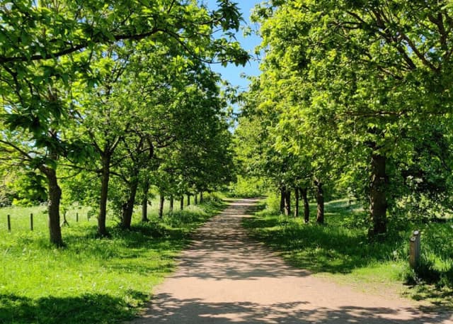 23 Beautiful Leeds Woodlands On Your Doorstep | Discover Leeds