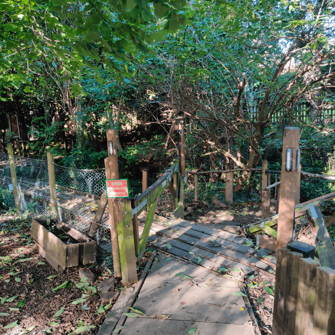 Churwell Woods | Discover Leeds